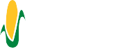 The Unlikely Story of Wyffels Hybrids
